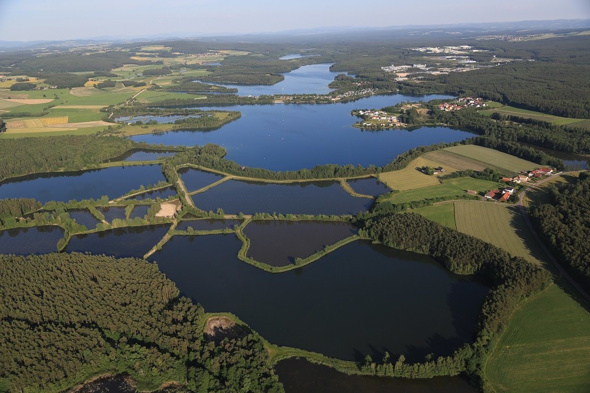 Hammersee Camping Blechhammer Genießen Sie Erholung, Natur, Angeln