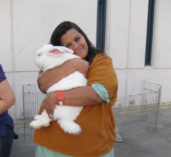 Animal assisted support for people in need. | Jasper Ridge Farm