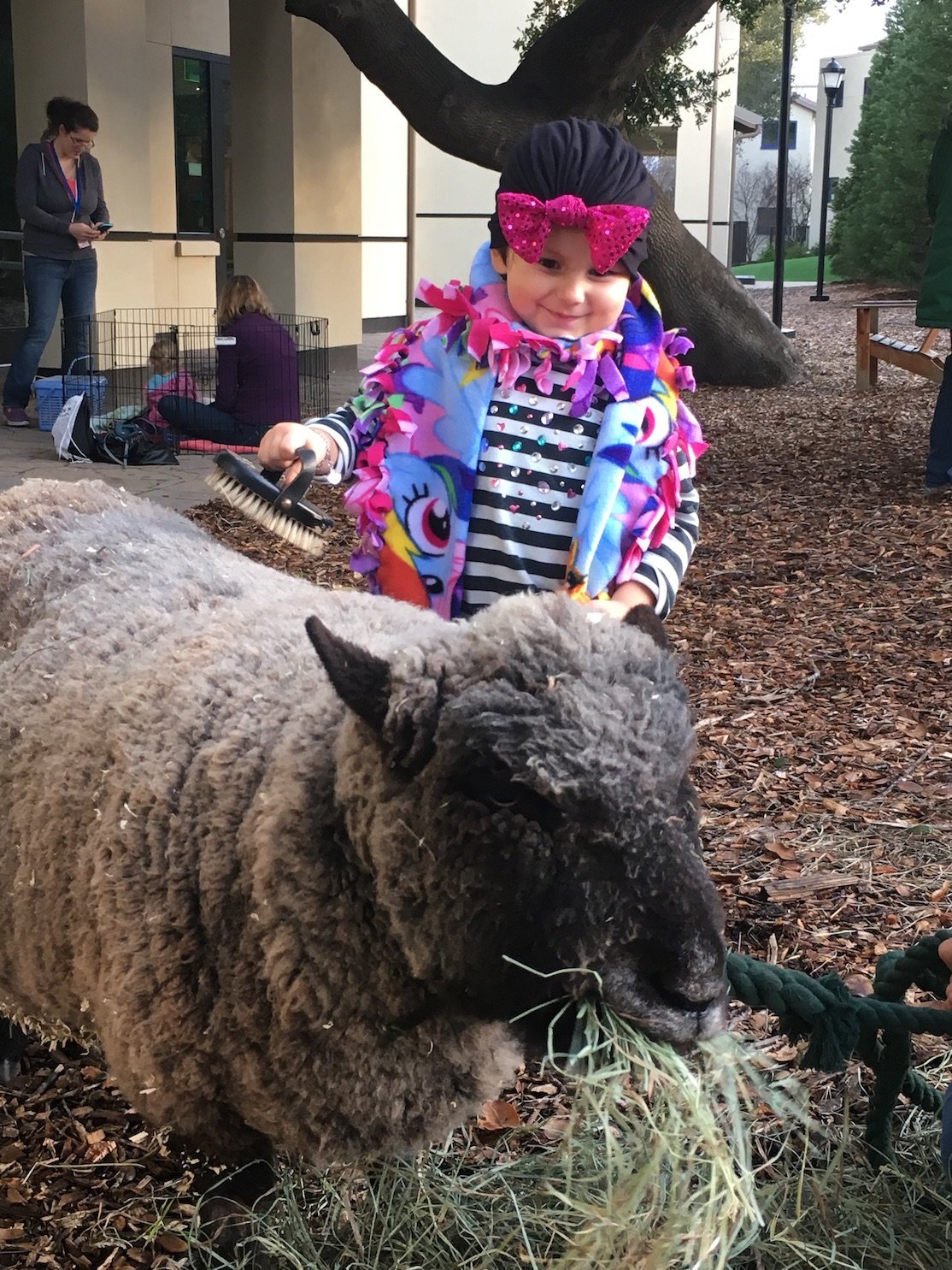 Animal assisted support for people in need. | Jasper Ridge Farm