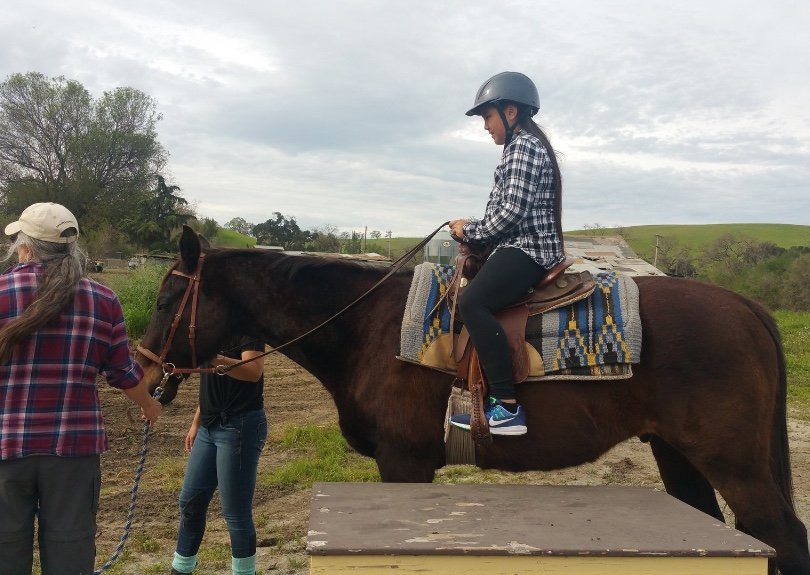 Animal assisted support for people in need. | Jasper Ridge Farm