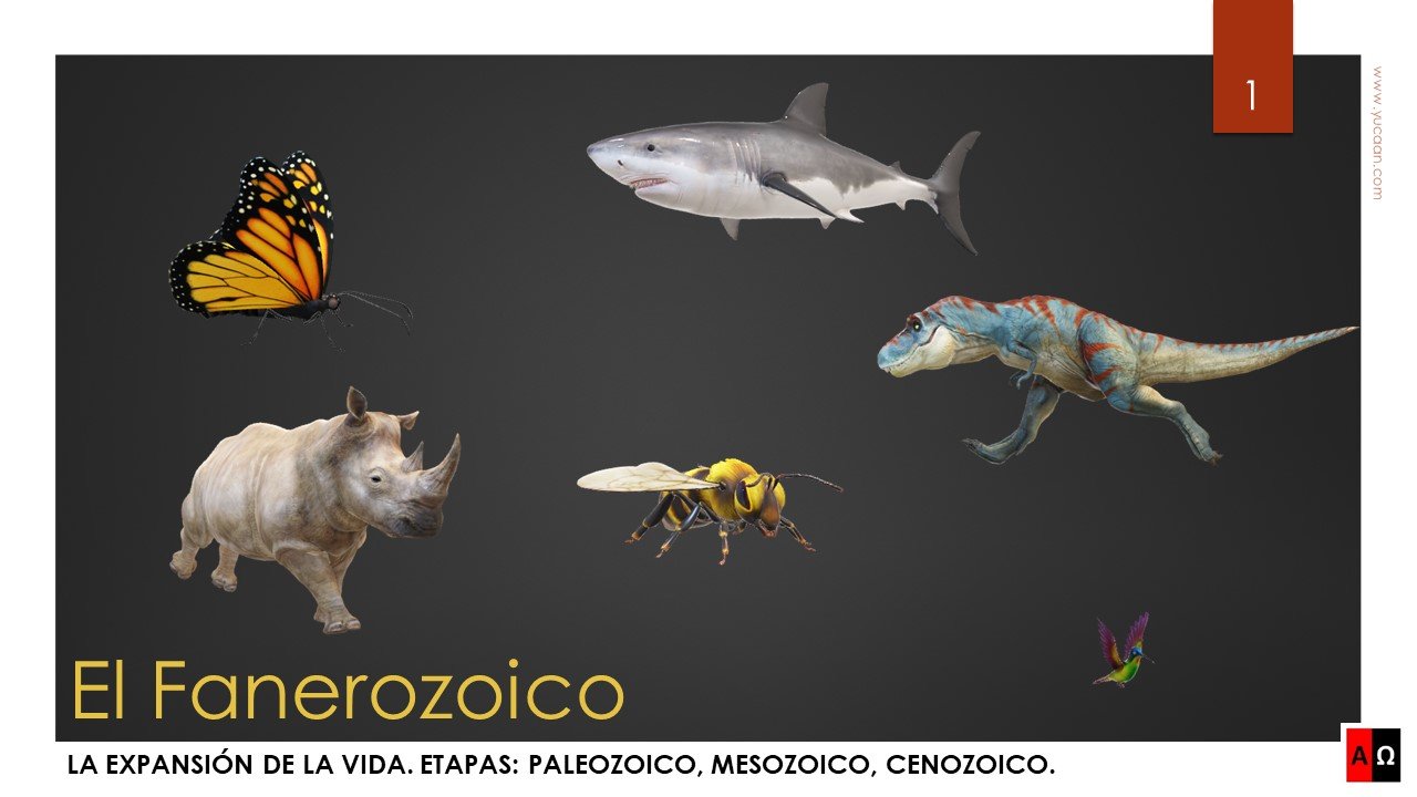 Geología. Relieve, tectónica de placas e historia geológica. Historia ...