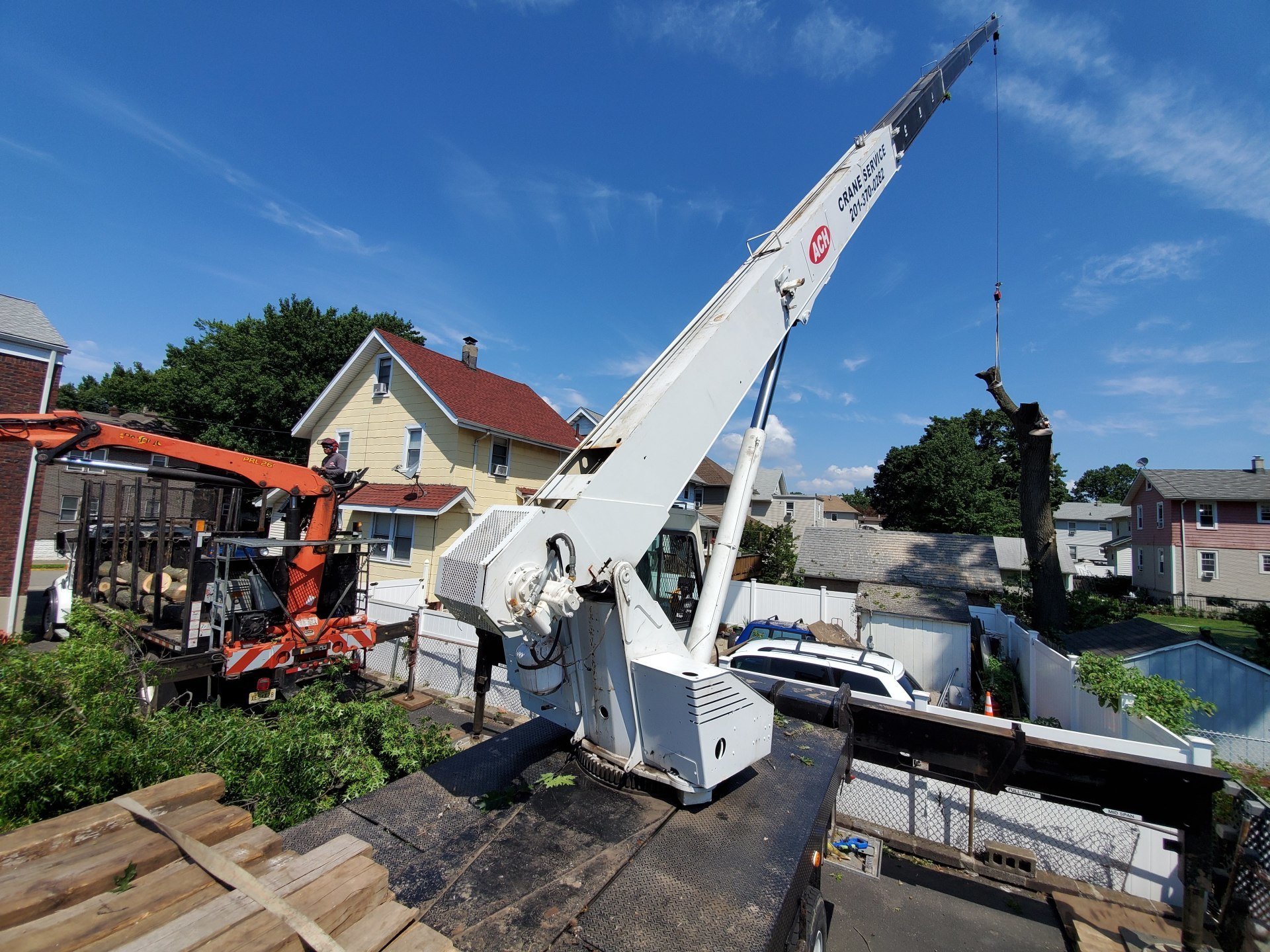 Large Tree Removal Services | A&H Tree Service | Bergen County, NJ