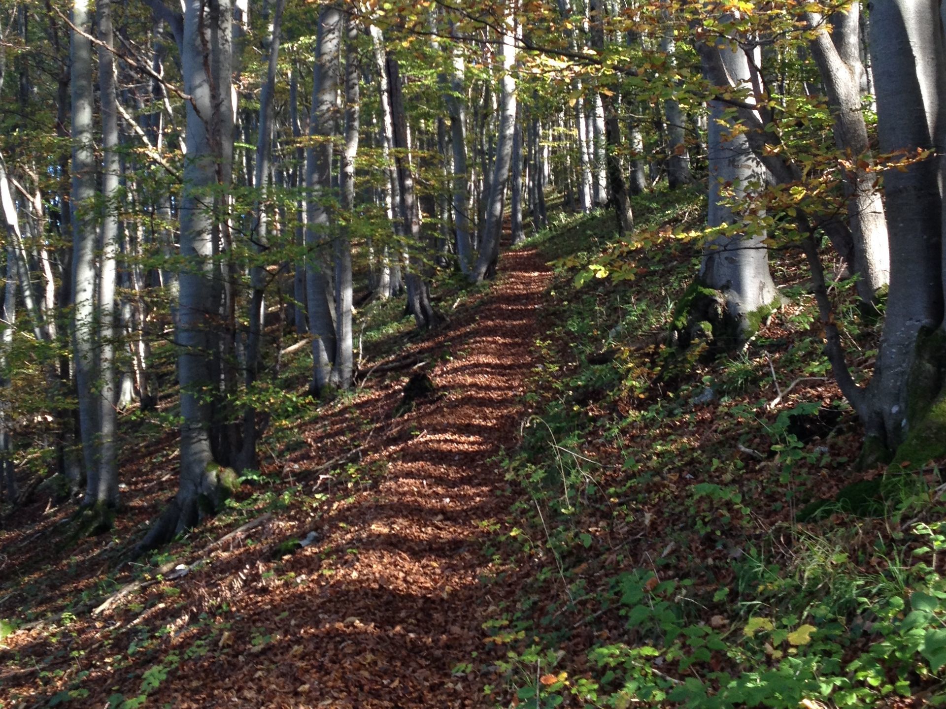Wiesensteig Tourismus