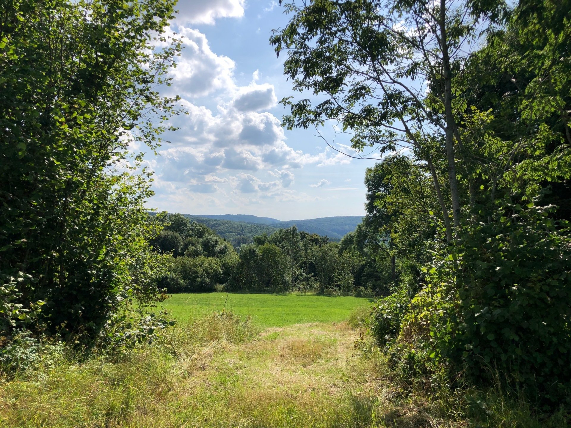 Wiesensteig Tourismus