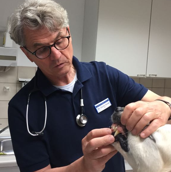 Tierarztpraxis Dr. Sven Garrels - 23909 Ratzeburg