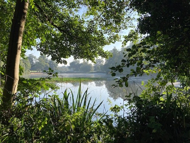 Is My Child Autistic? Summer Reflection