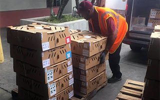 Customs Broker - International Shipping - Shipping Service - Freight