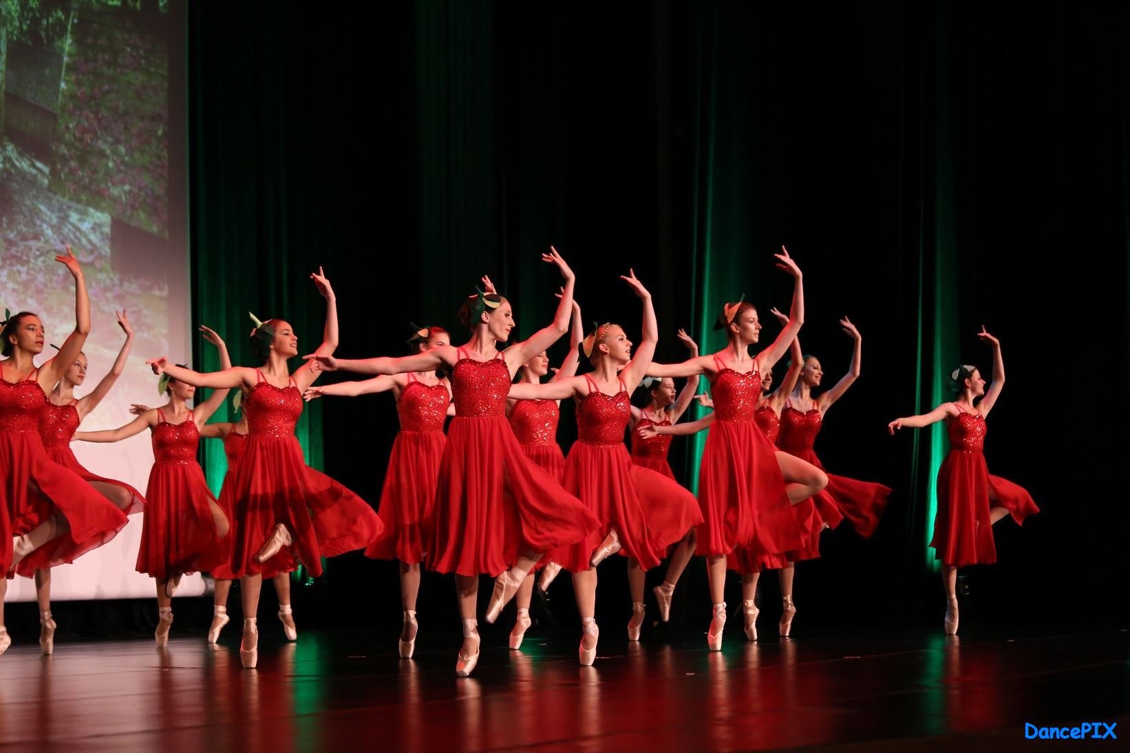 Dein Traum ist tanzen? Hier findest du bestimmt den richtigen Kurs!