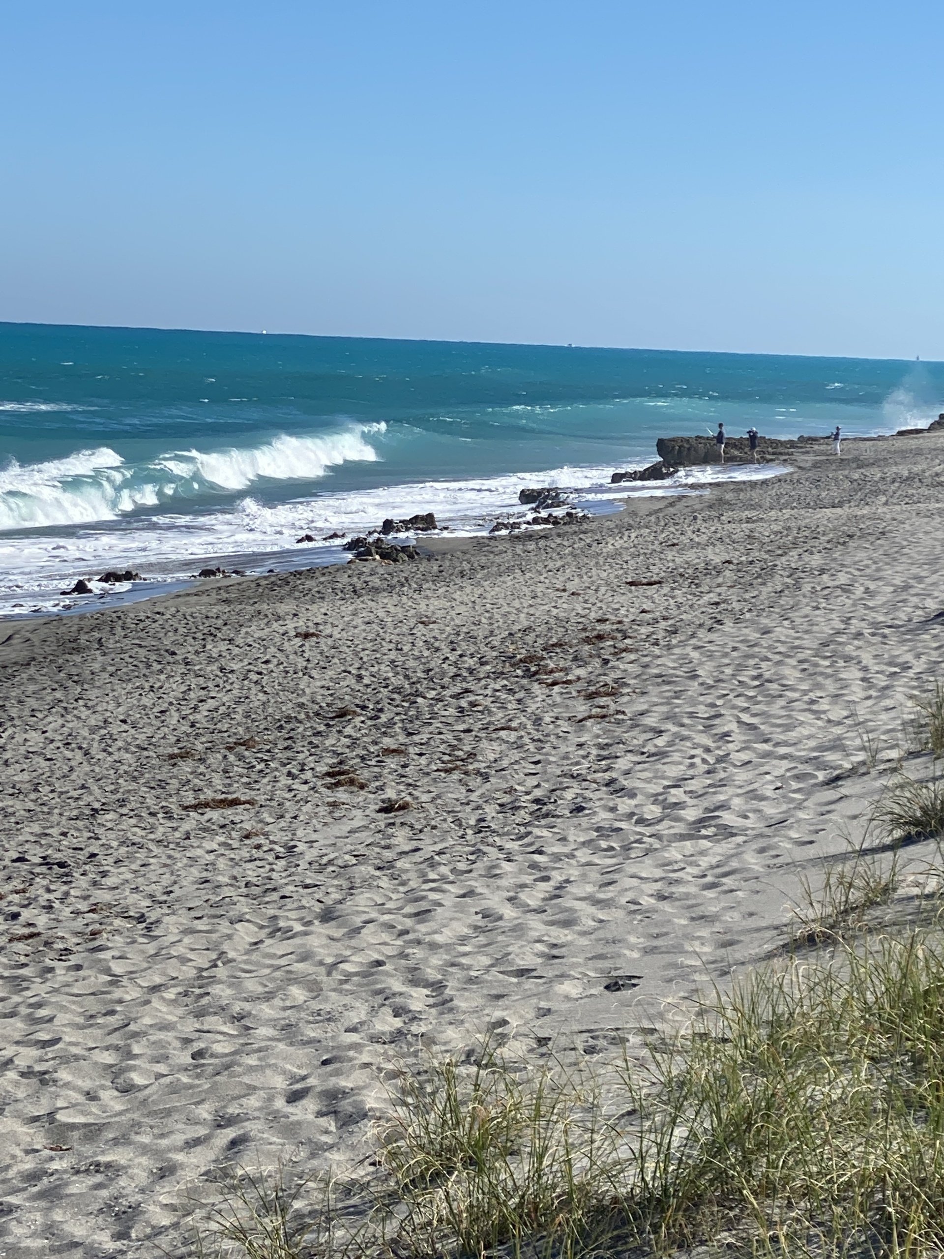 Top 7 Things to Do in Jupiter, Florida