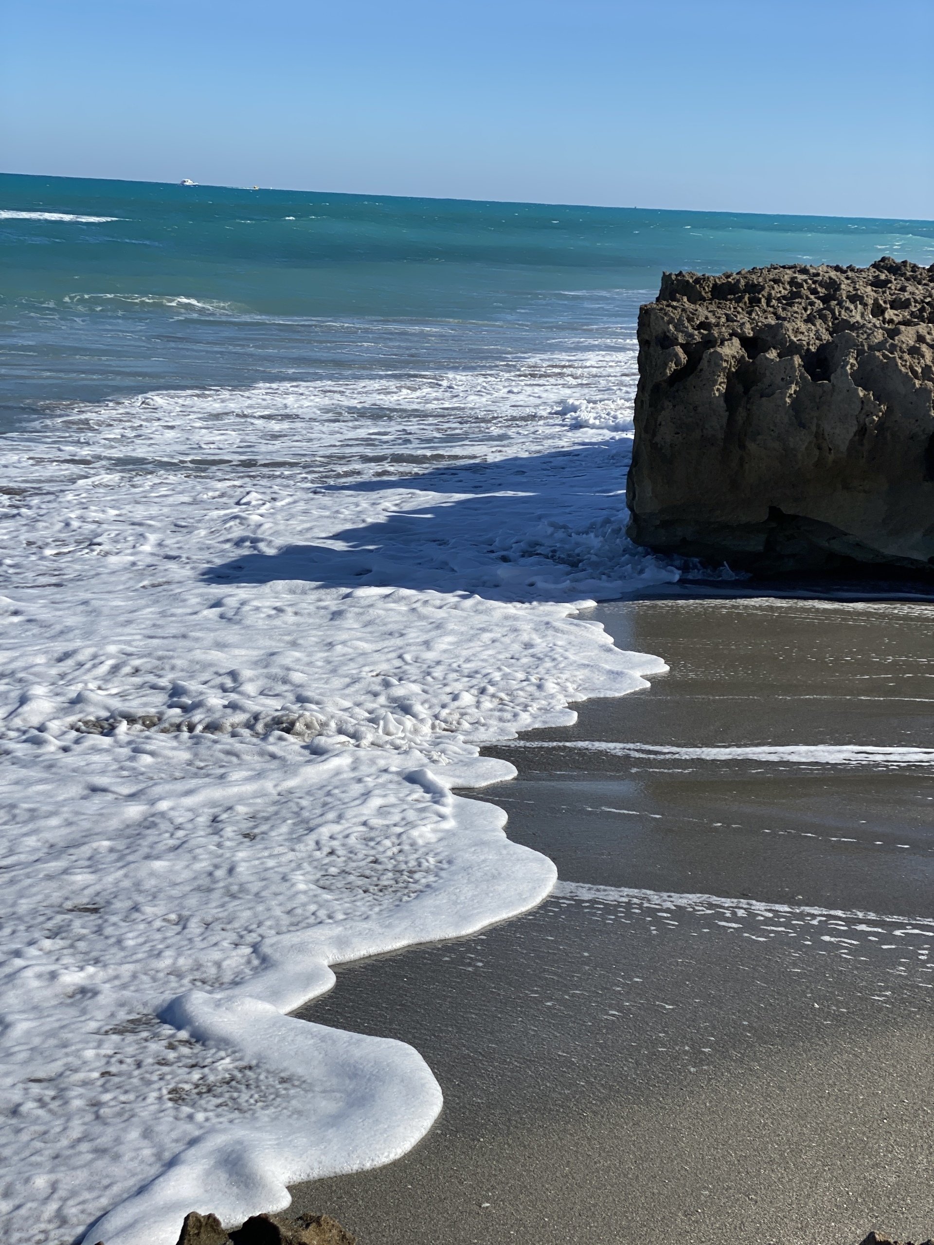 Top 7 Things to Do in Jupiter, Florida