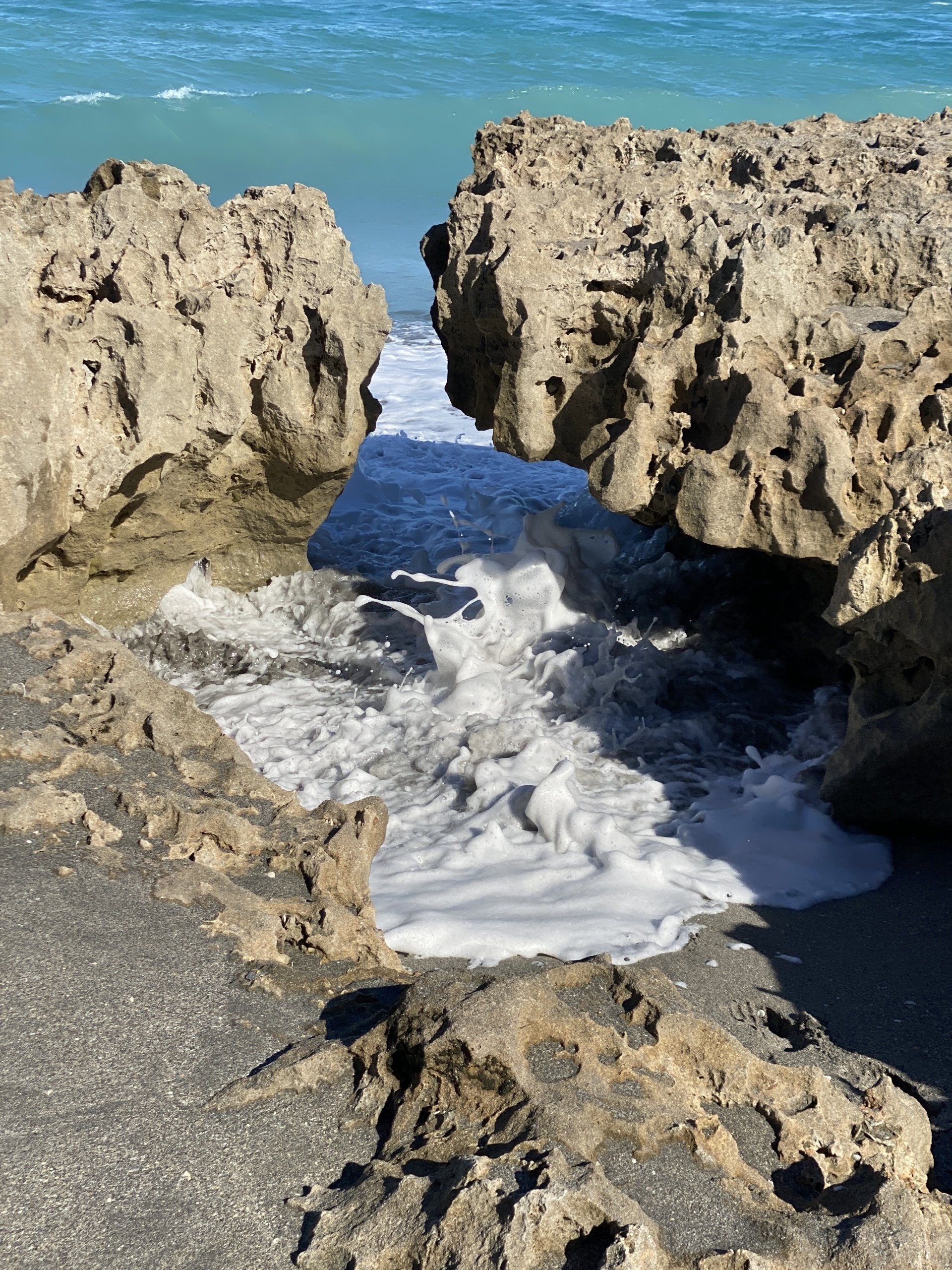 Top 7 Things to Do in Jupiter, Florida