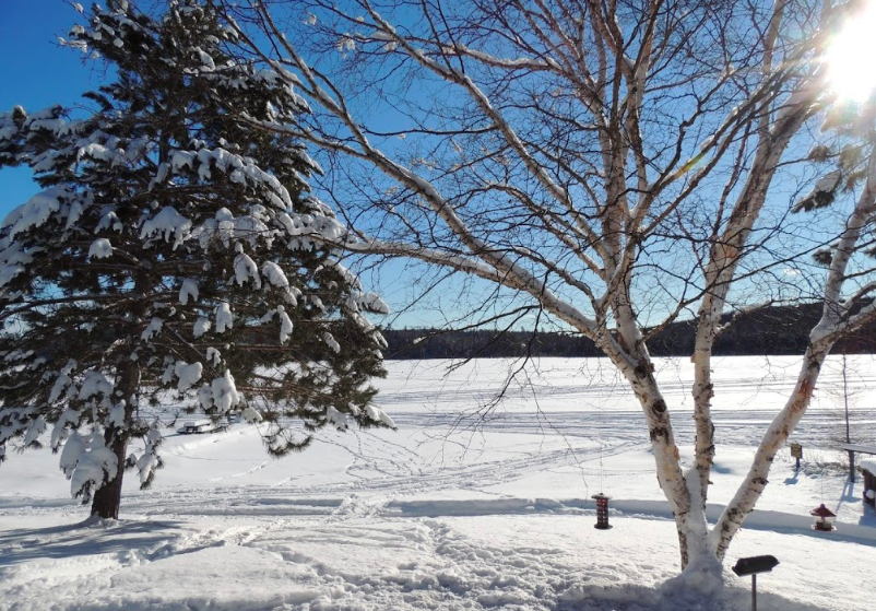 Fox Lake Lodge - Outdoor Getaway