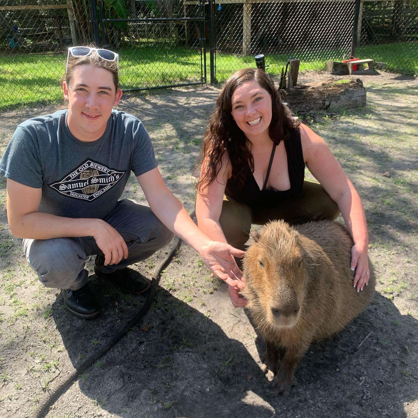 Meet a Capybara at Amazing Animals Inc. Wildlife Preserve