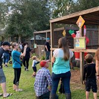 Amazing Animals Inc. - A non-profit wildlife preserve