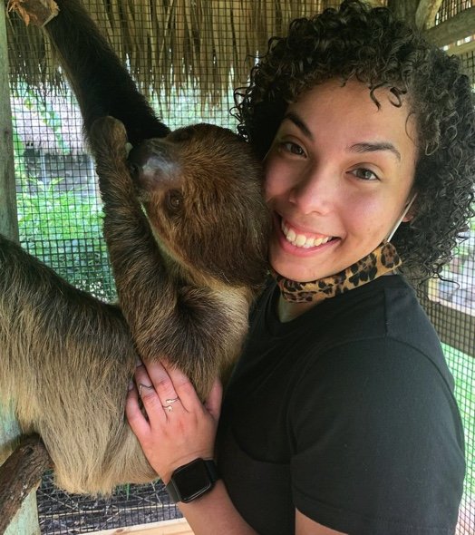 Pet a sloth at Amazing Animals Inc. Wildlife Preserve