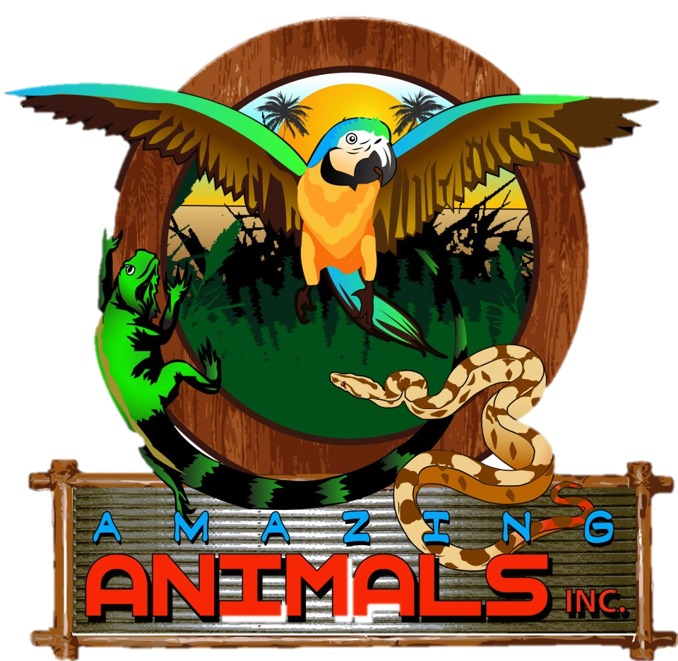 Visit Amazing Animals Inc. in St. Cloud, Florida