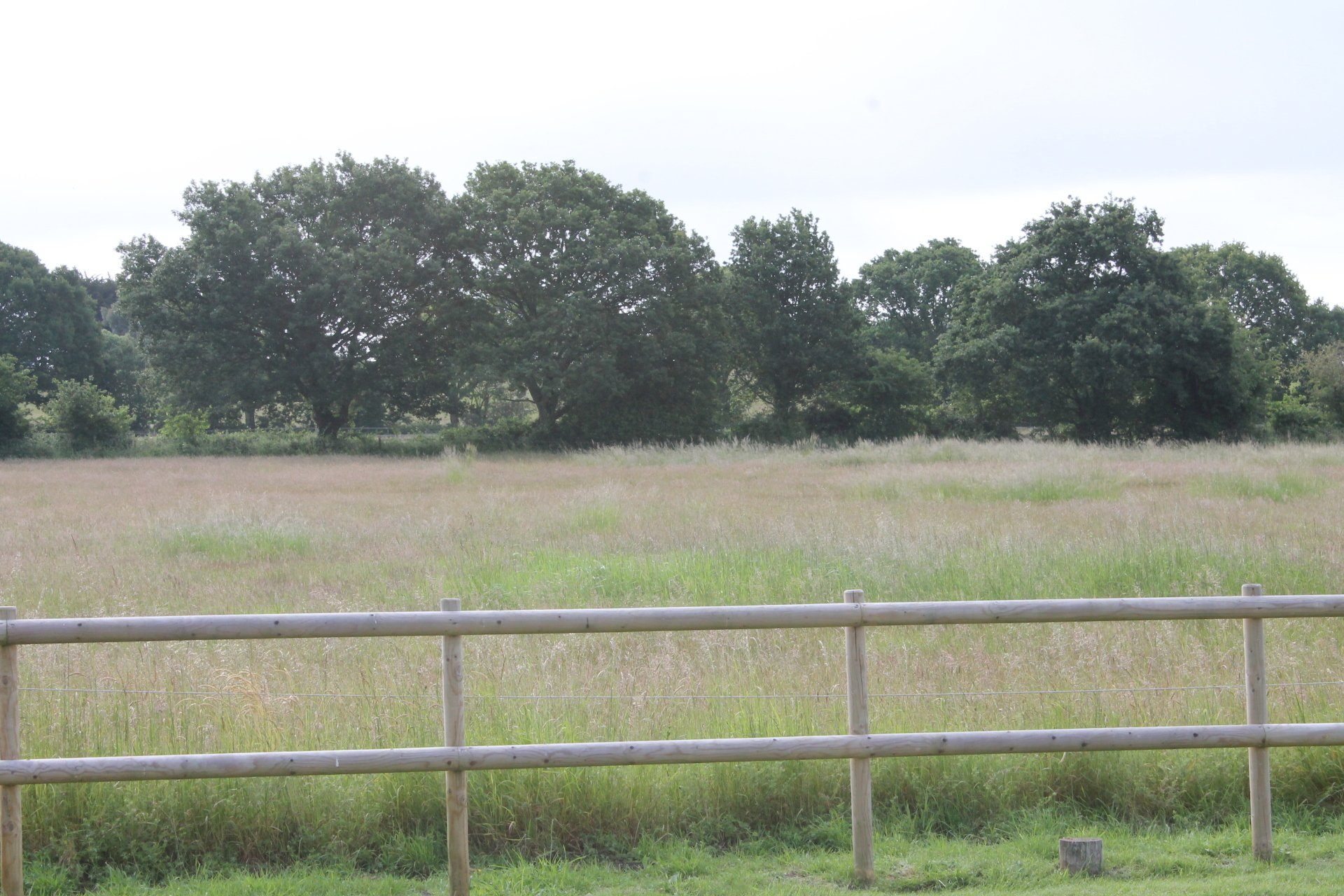 Fields, Public Footpath & Styles