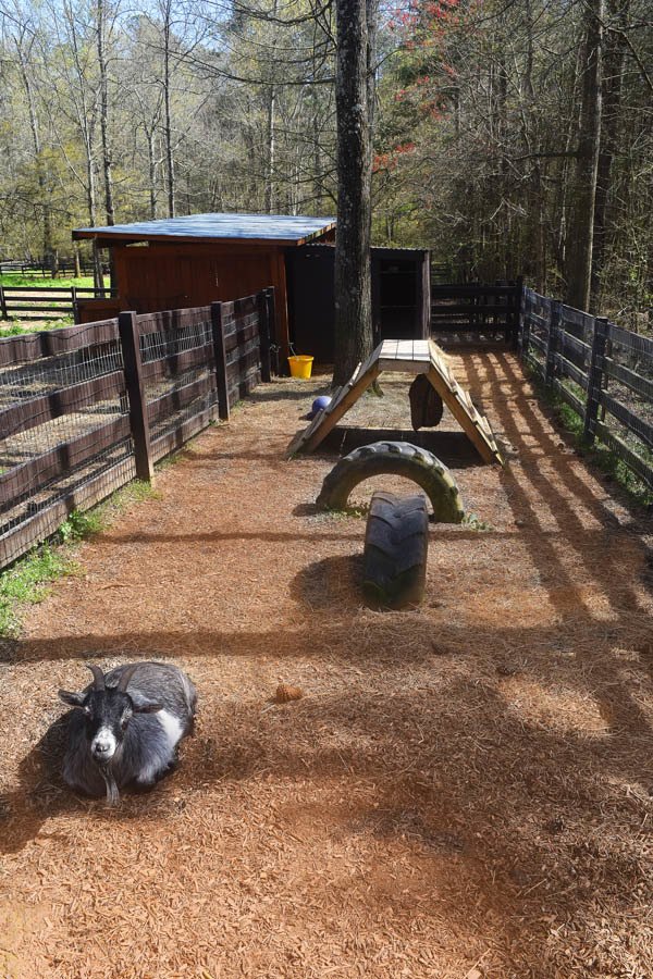 McKenna Farms Therapy Services