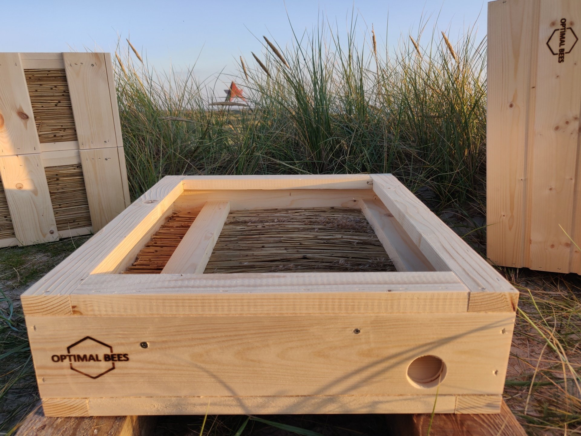 OPTIMAL BEES, Beste Bienen Beute, Varroa Bekämfung, Varroa Mittel ...