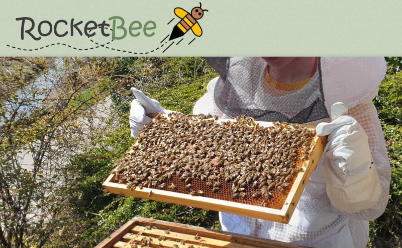 OPTIMAL BEES, Beste Bienen Beute, Klima Beute, Schilf Stroh Beute ...