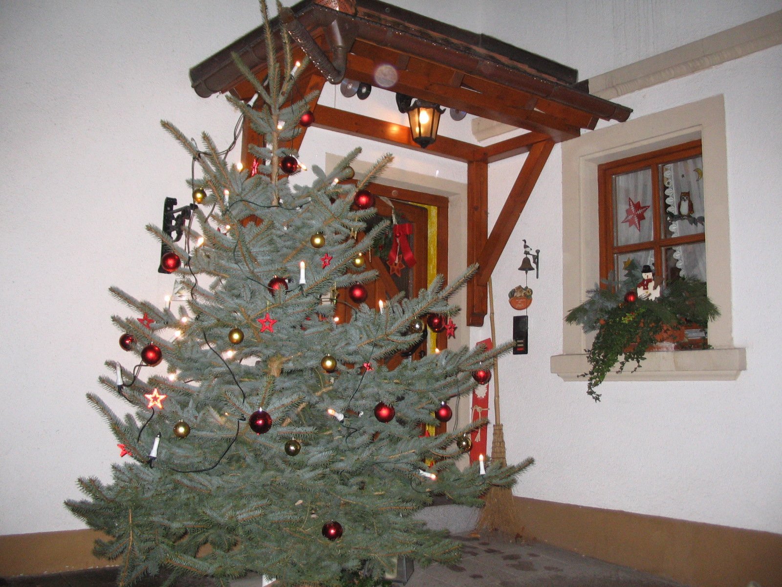 Christbaumhof Peter