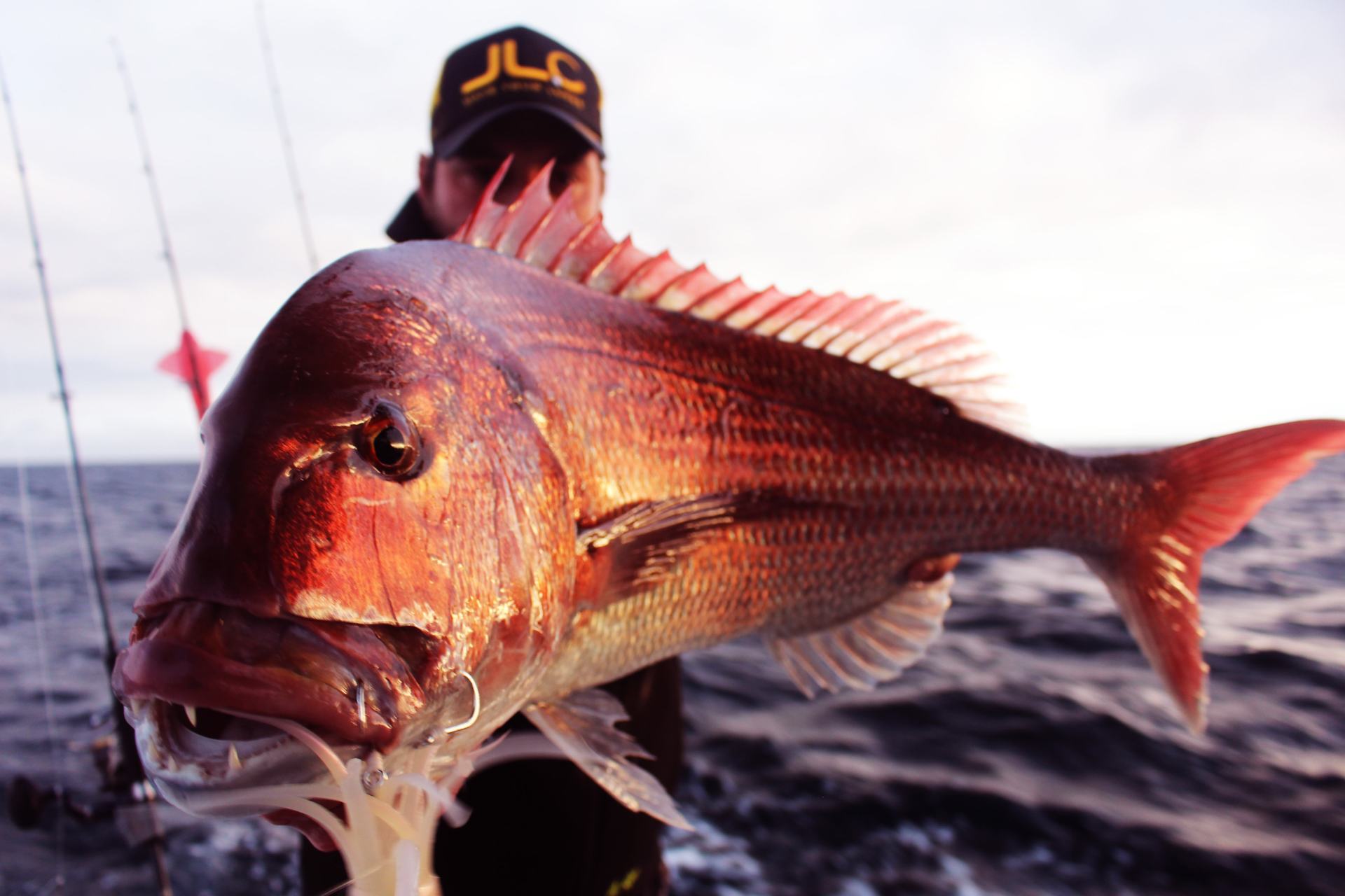 Fishing Trip to Gibraltar. Best destination for jigging in Spain.