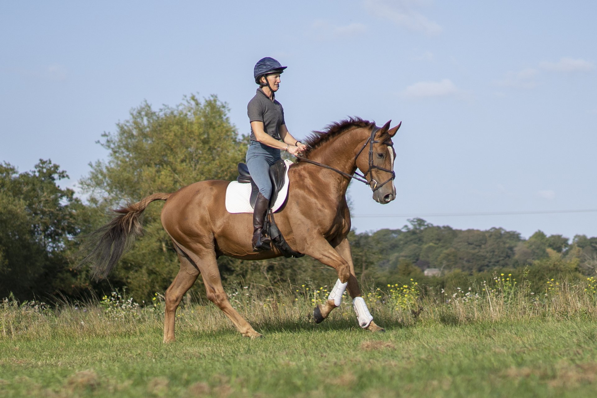 Buckingham Riding Club