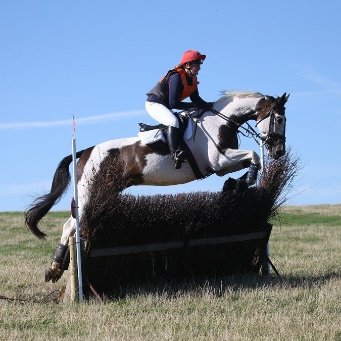 Buckingham Riding Club