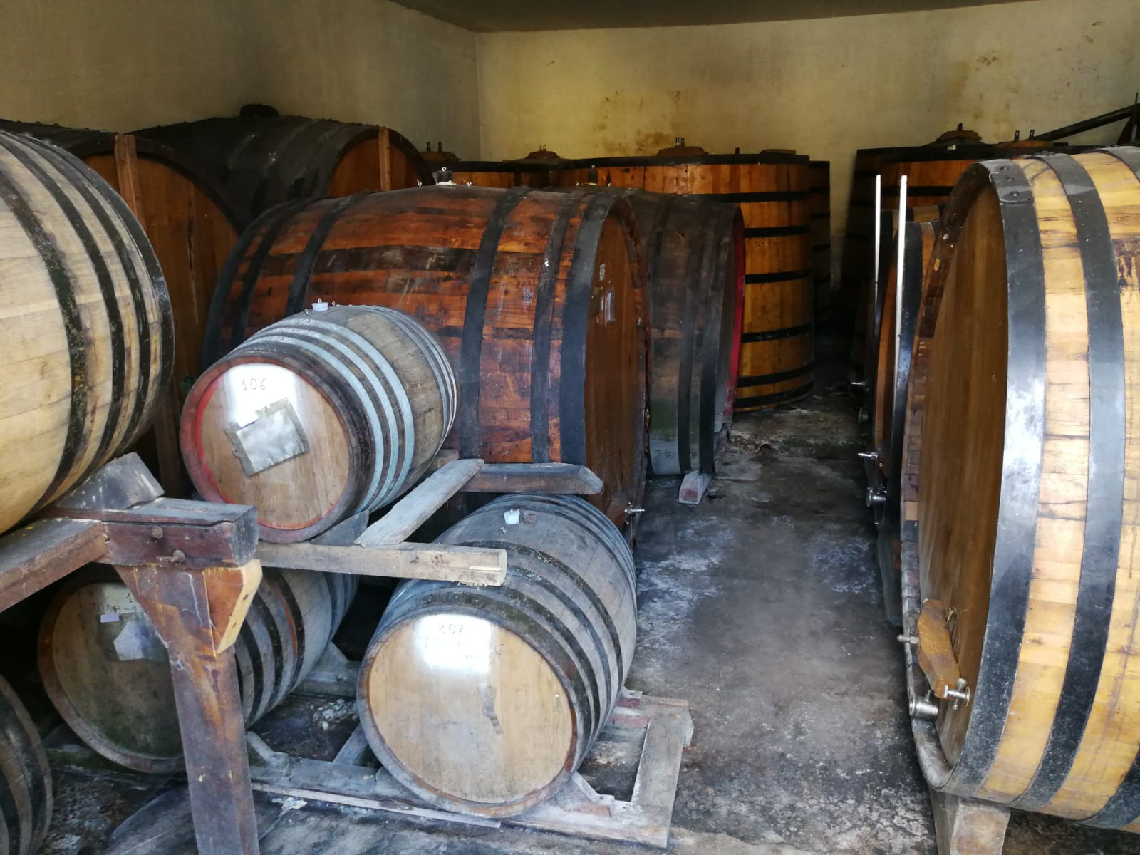 GRAPPA, BELLEZZA E FEMMINILITA'
