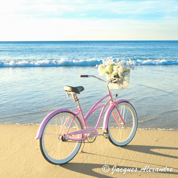 Portfolio - Jacques Alexandre