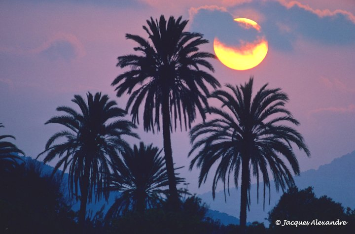 Scenics - Jacques Alexandre