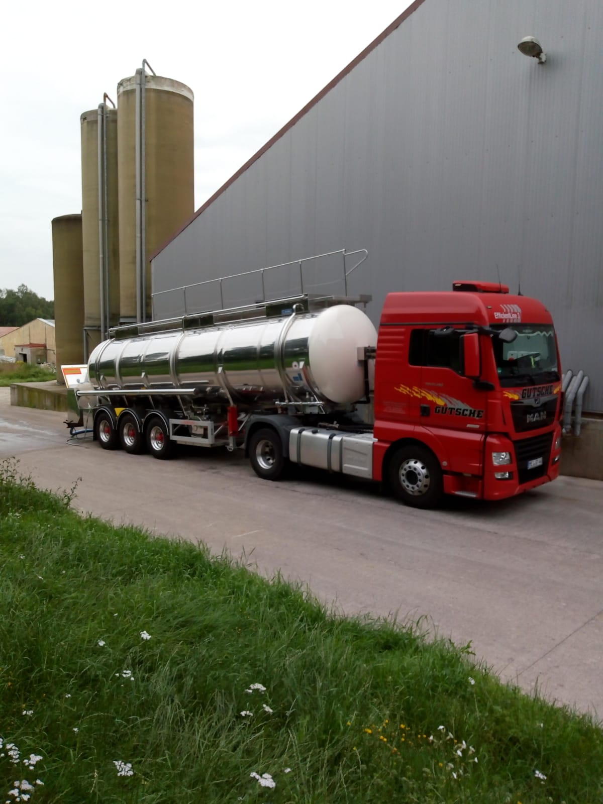Futtermittel | Großenhain | Gutsche Transporte GmbH