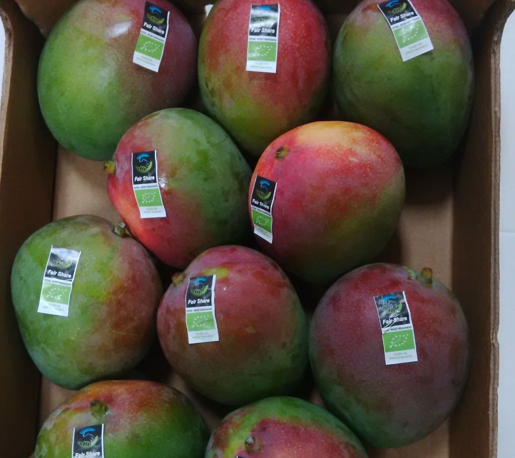 Iberica Fruit, Easy Fresh Produce Spain