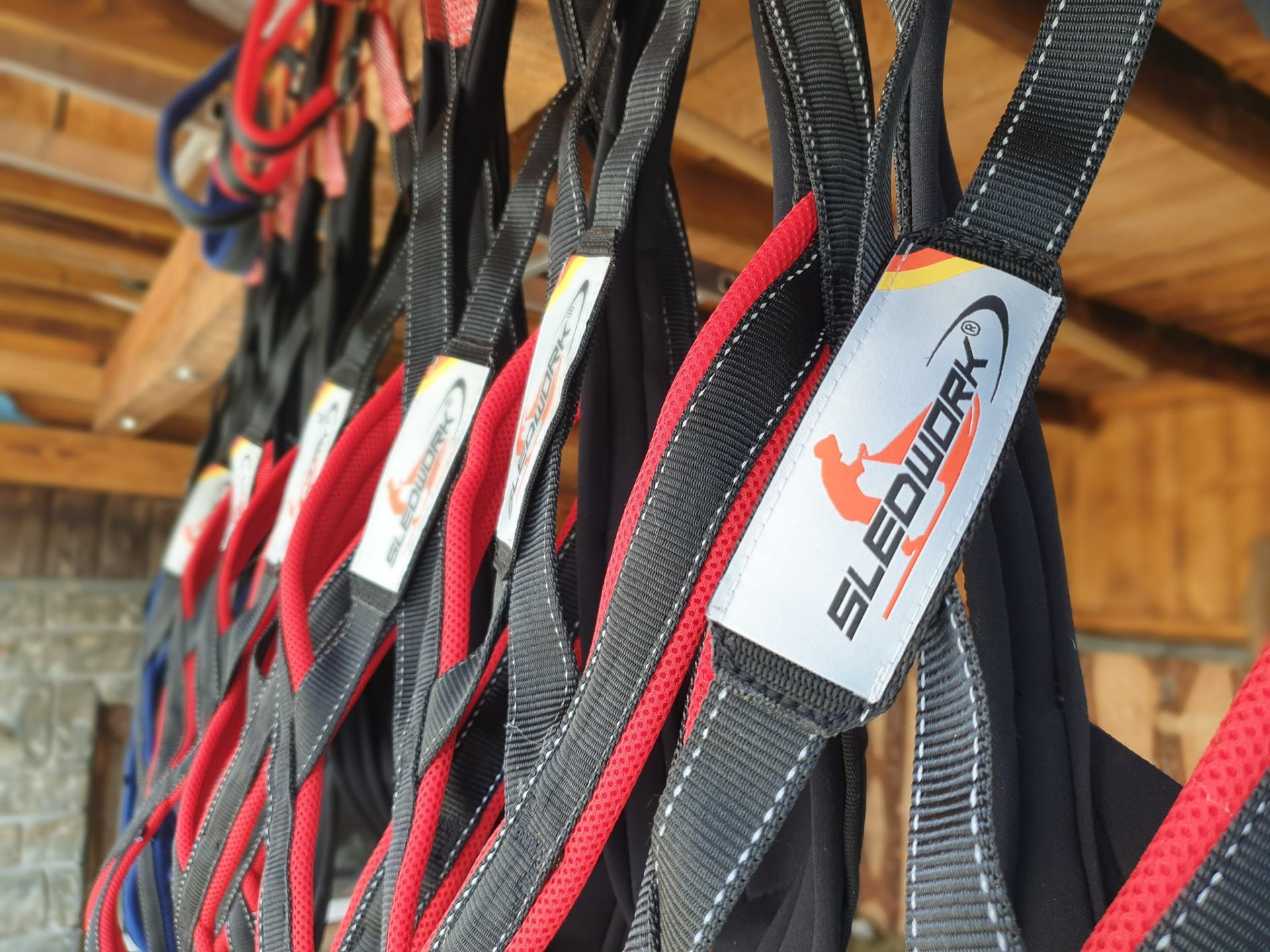 Trainingsheld.com | Running, CaniCross & Fitness