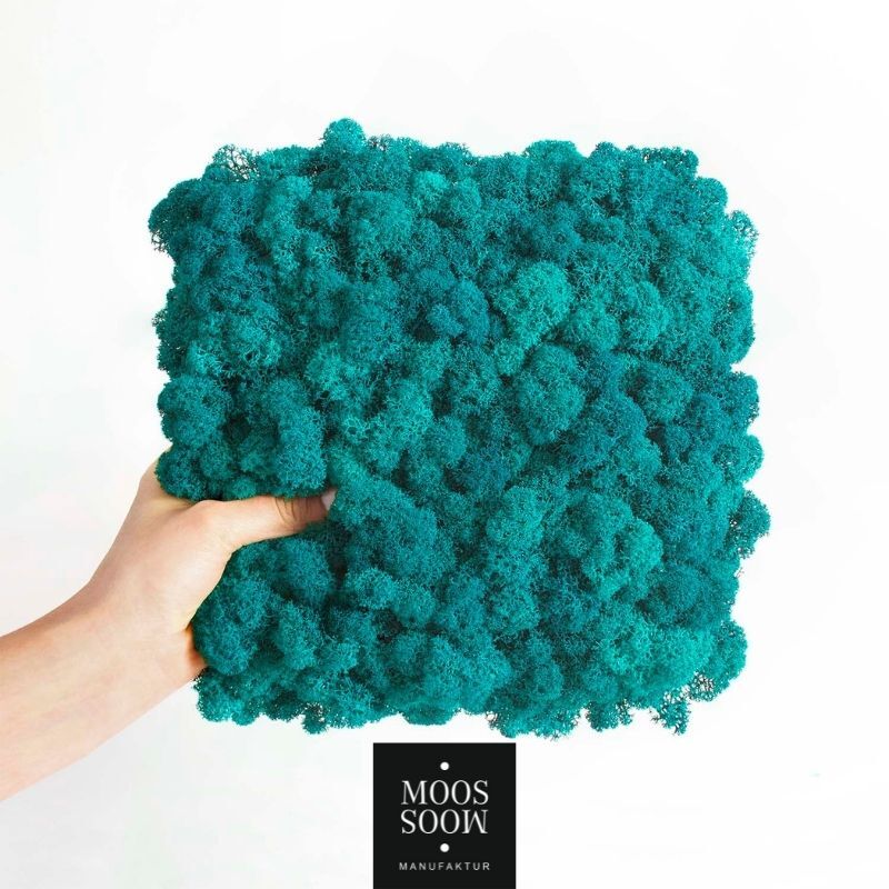 Mooswände und Moosbilder aus pflegefreien und echten Moosen und ...