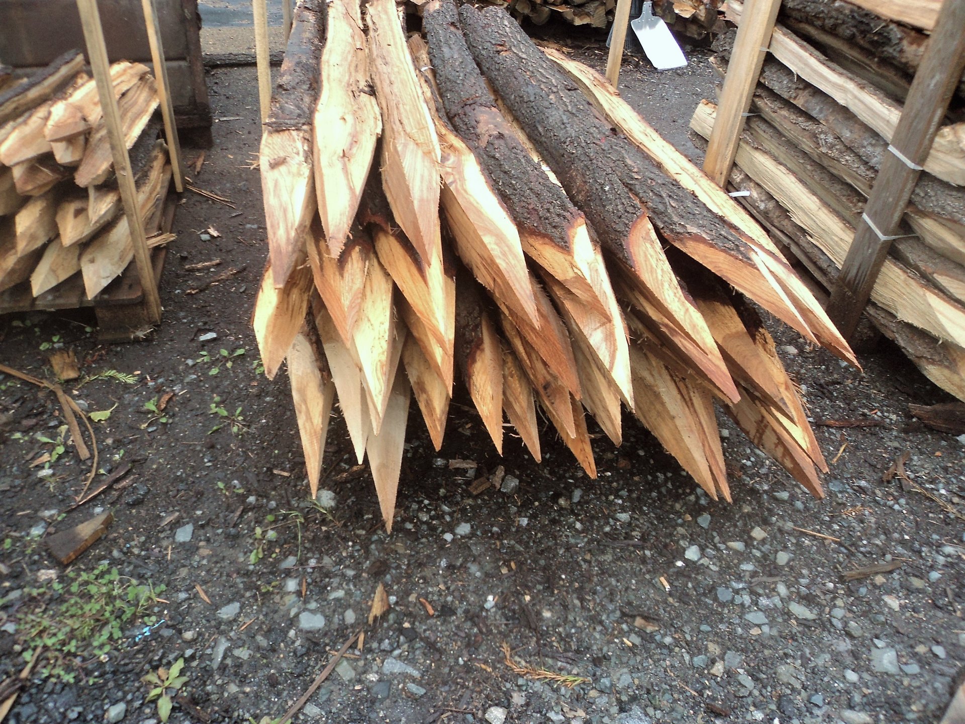 Weidepfahl, Eichenpfahl, Koppelpfahl, Zaunpfahl, Pfahl