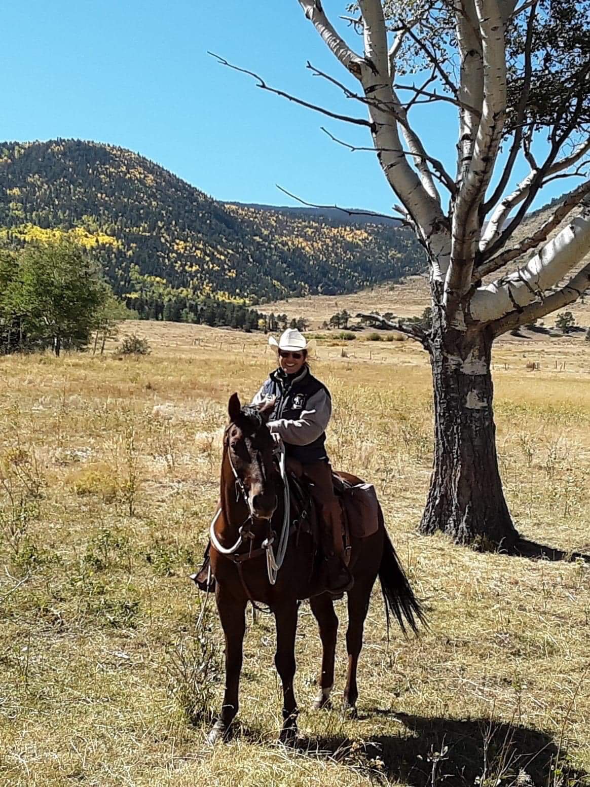 Georgia Ranch Trail rides horses nature adventure riding