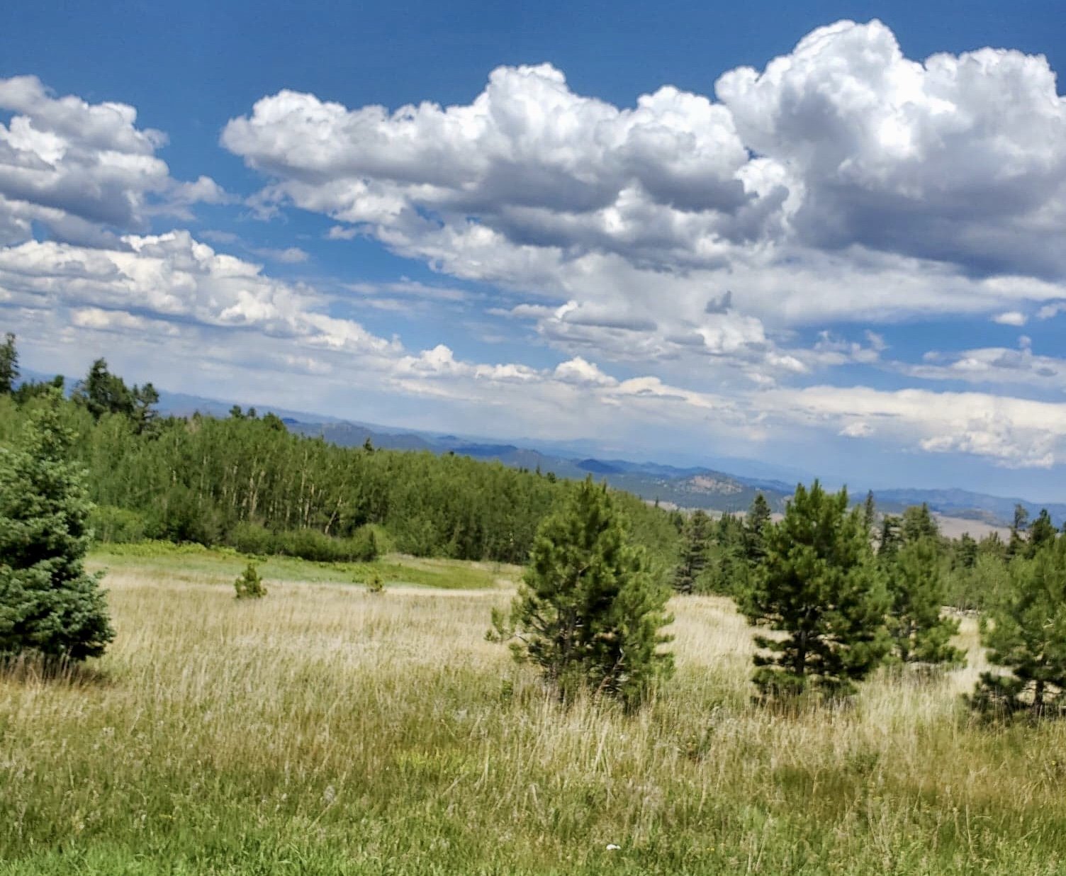 Georgia Ranch Trail rides horses nature adventure riding