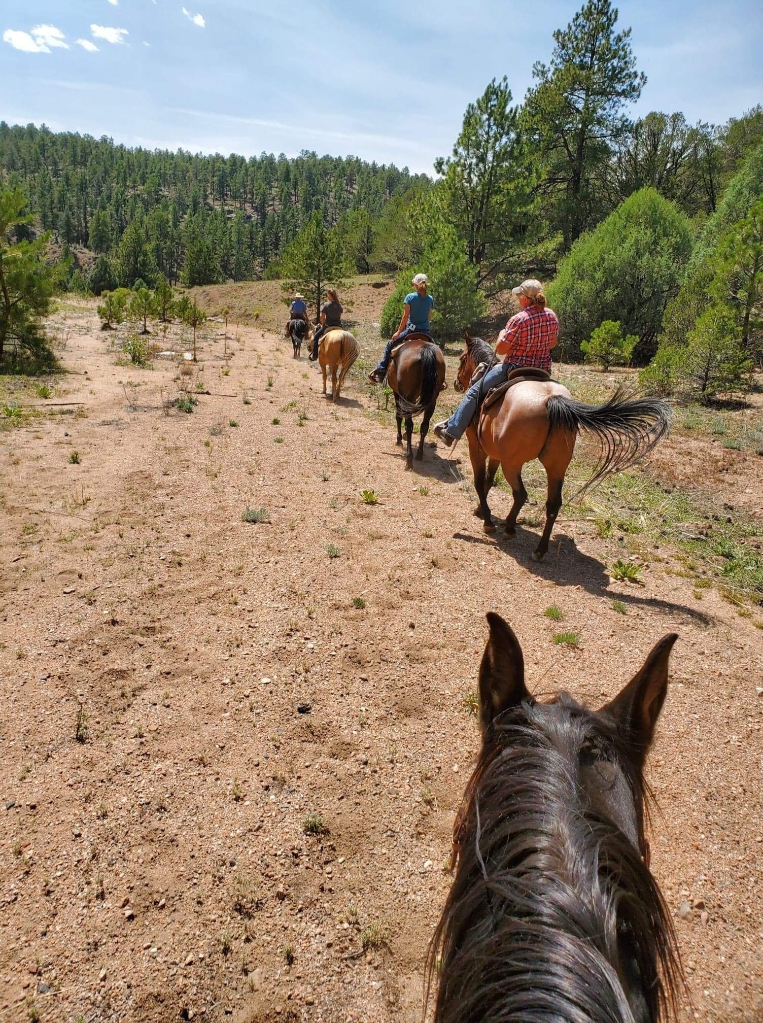Georgia Ranch Trail rides horses nature adventure riding