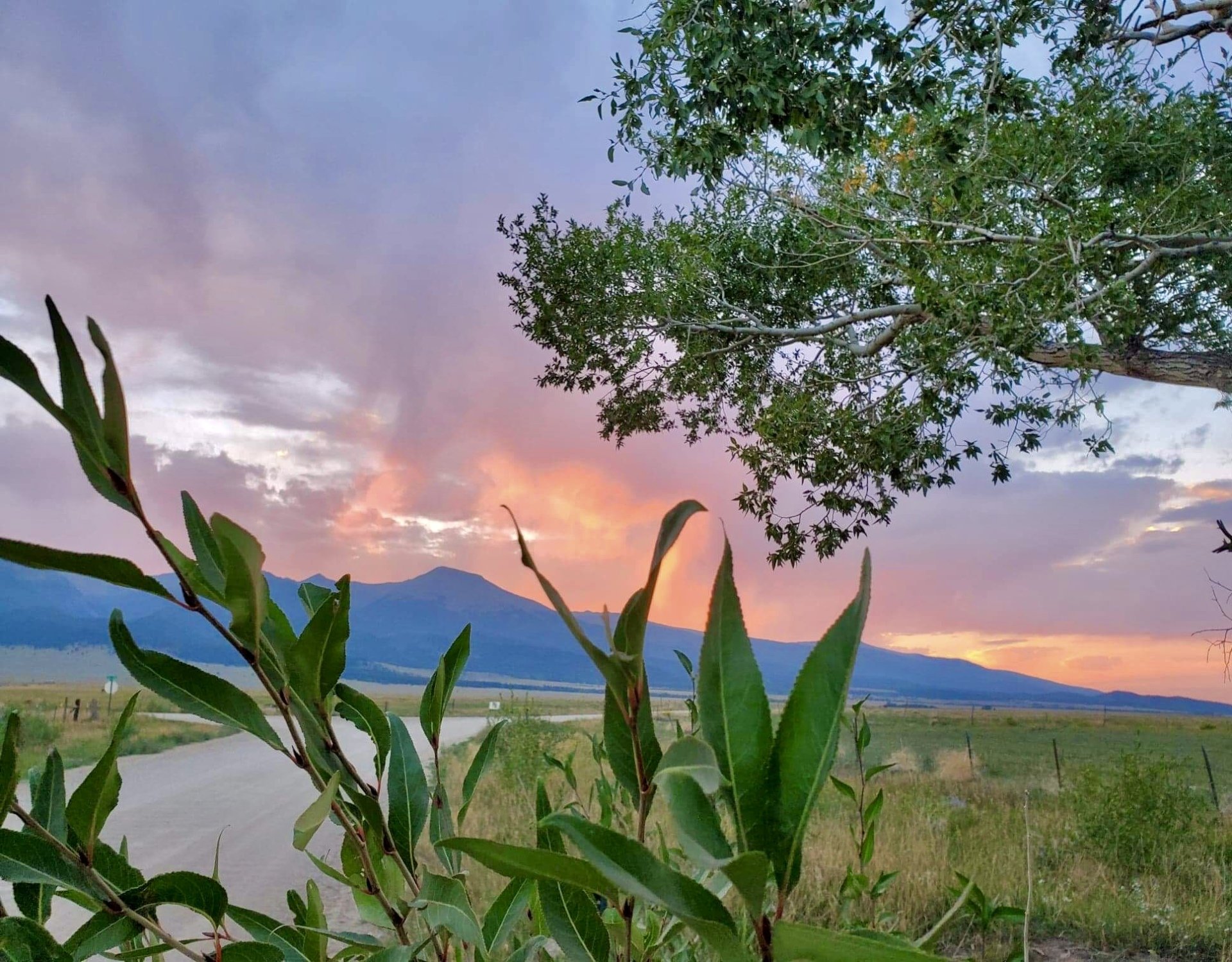 Georgia Ranch Trail rides horses nature adventure riding