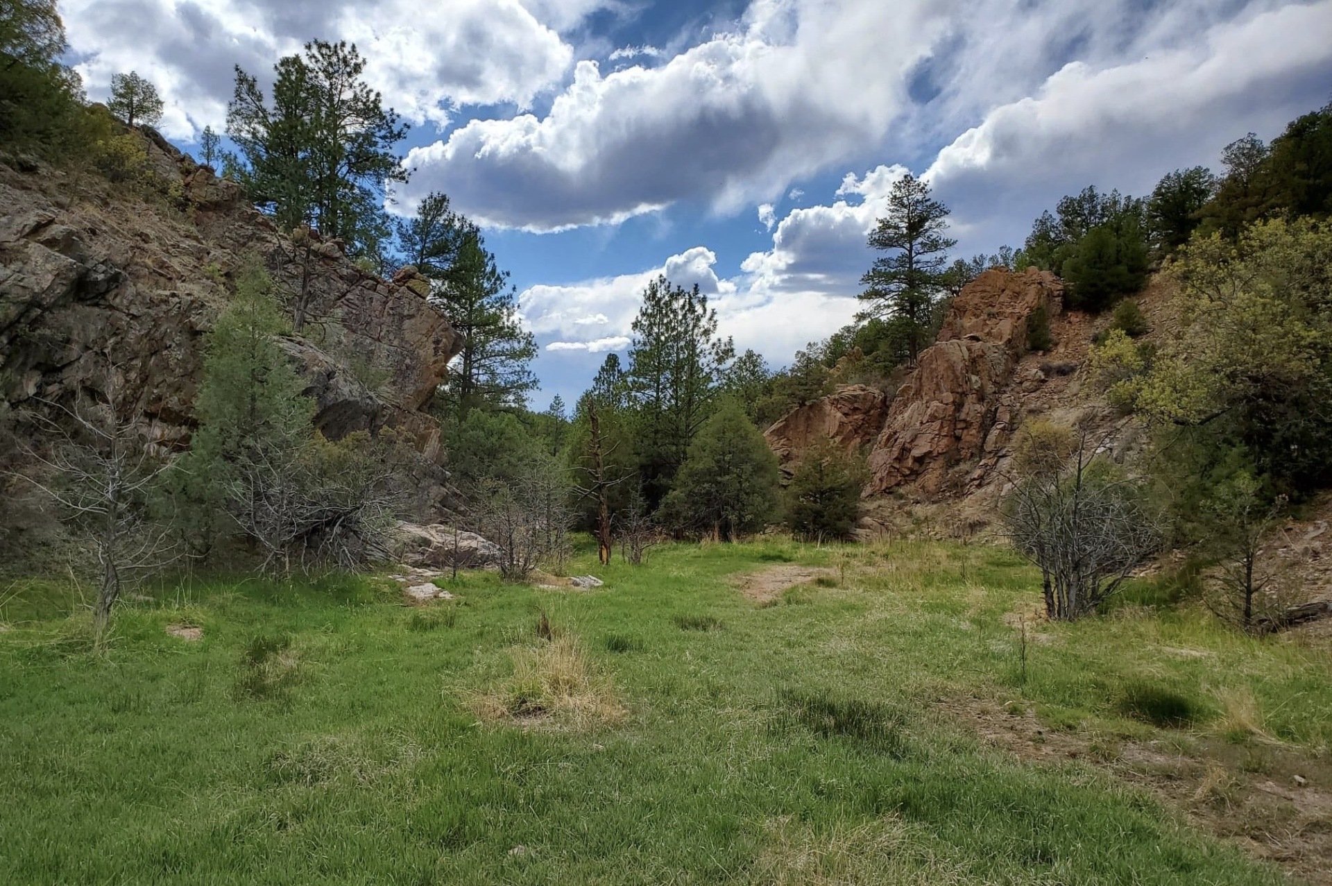 Georgia Ranch Trail rides horses nature adventure riding