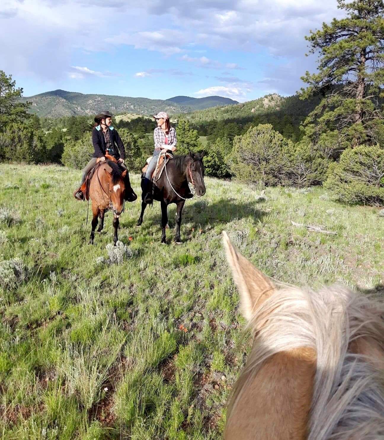 Georgia Ranch Trail rides horses nature adventure riding