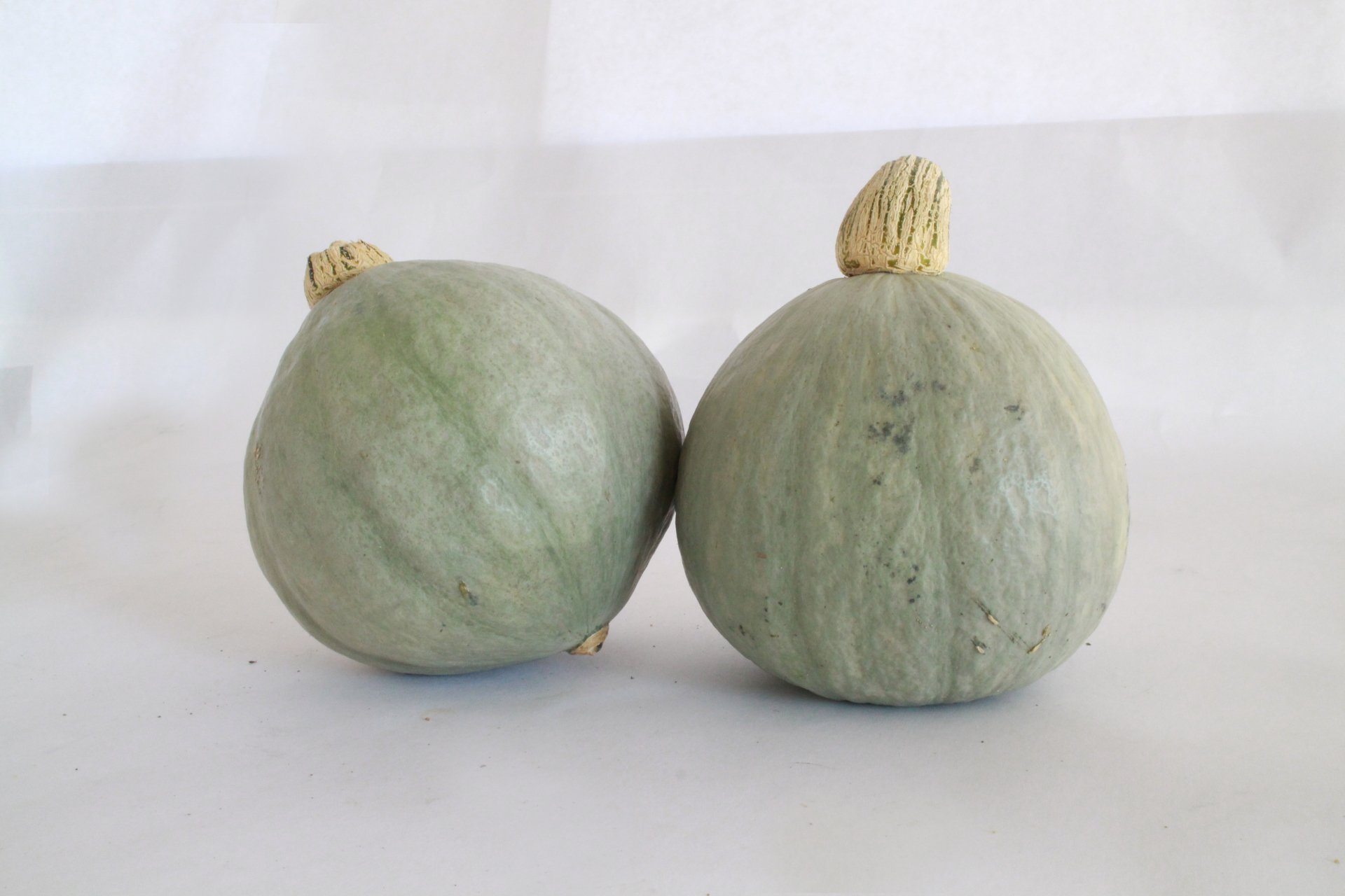 blue-hubbard-squash