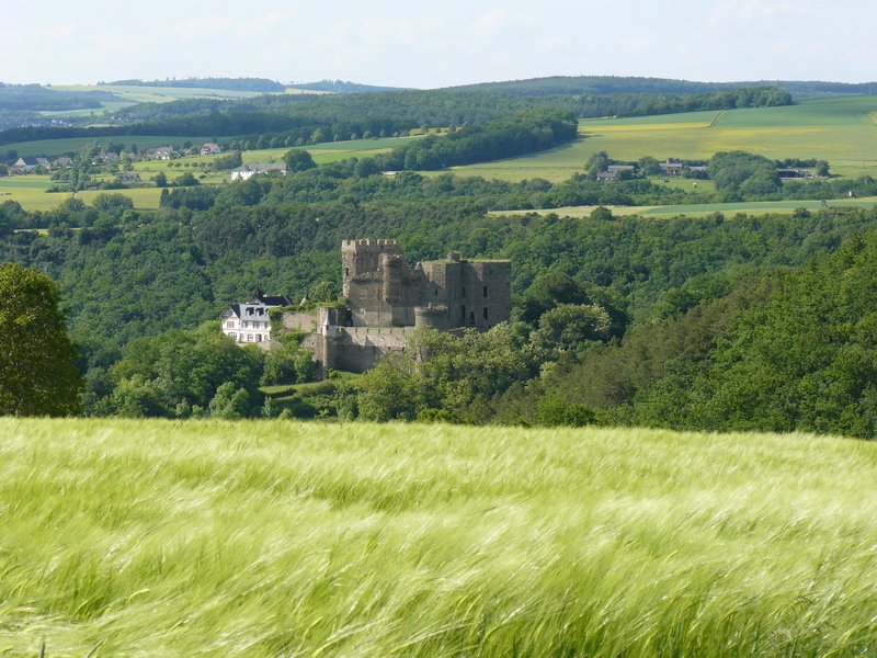 Burg Reichenberg aktuelle Bilder