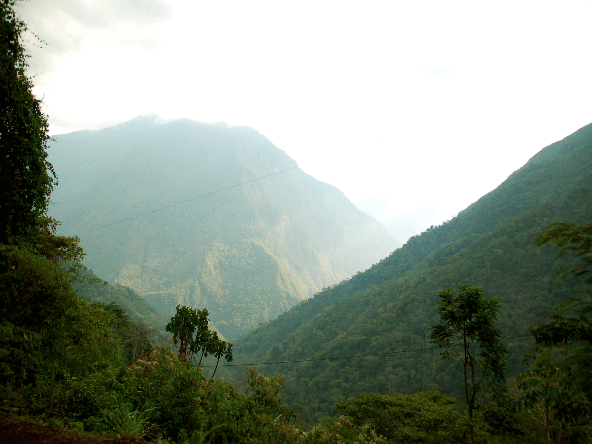 La Selva -Selva de Sueños ONG