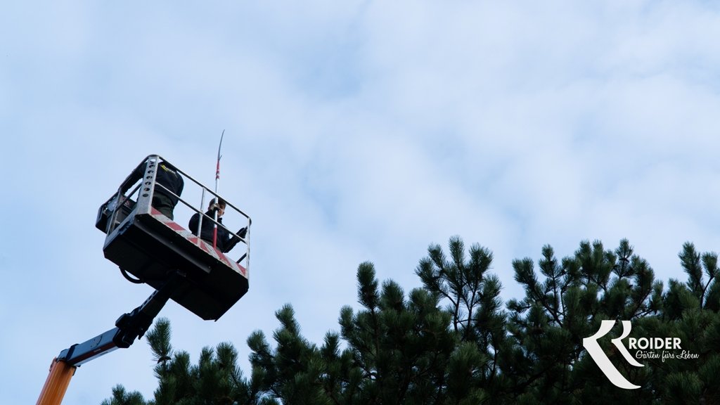 Roider - Garten und Landschaftsbau