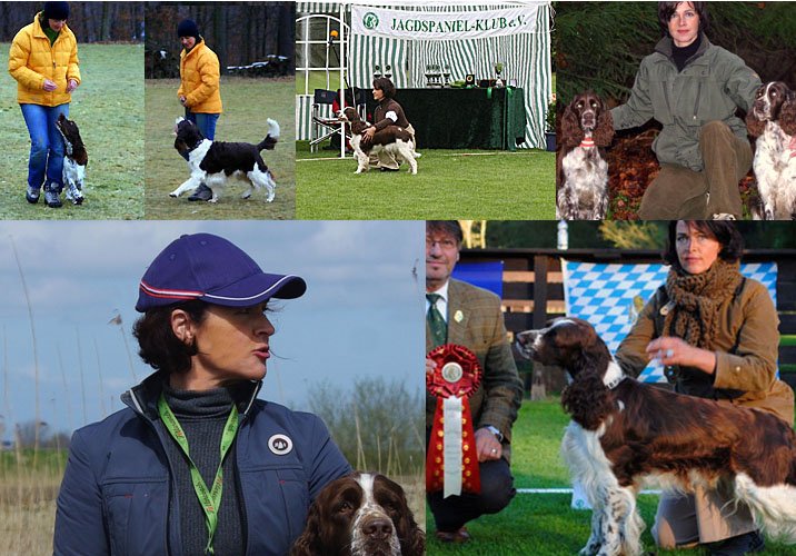 Springfield's Gundogs FCI - Über den Kennel