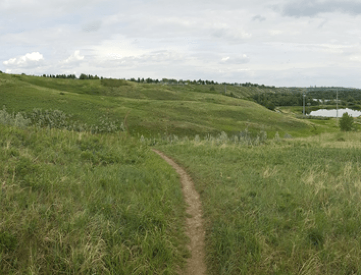 Nolan Hill Community Association