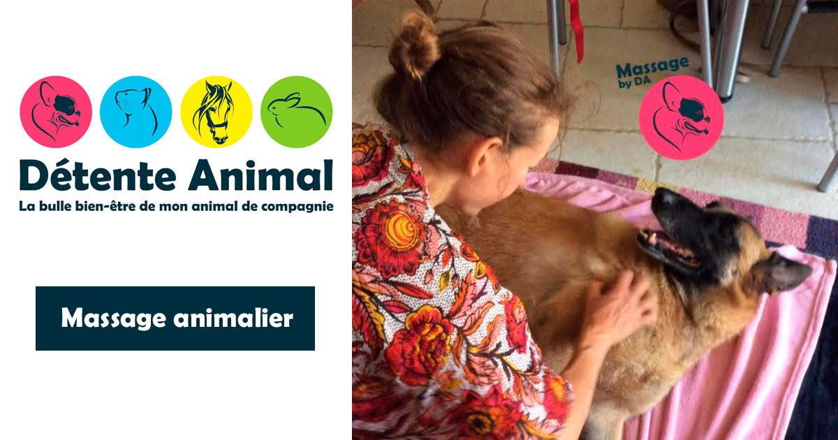 Détente Animal - Massage animalier by DA