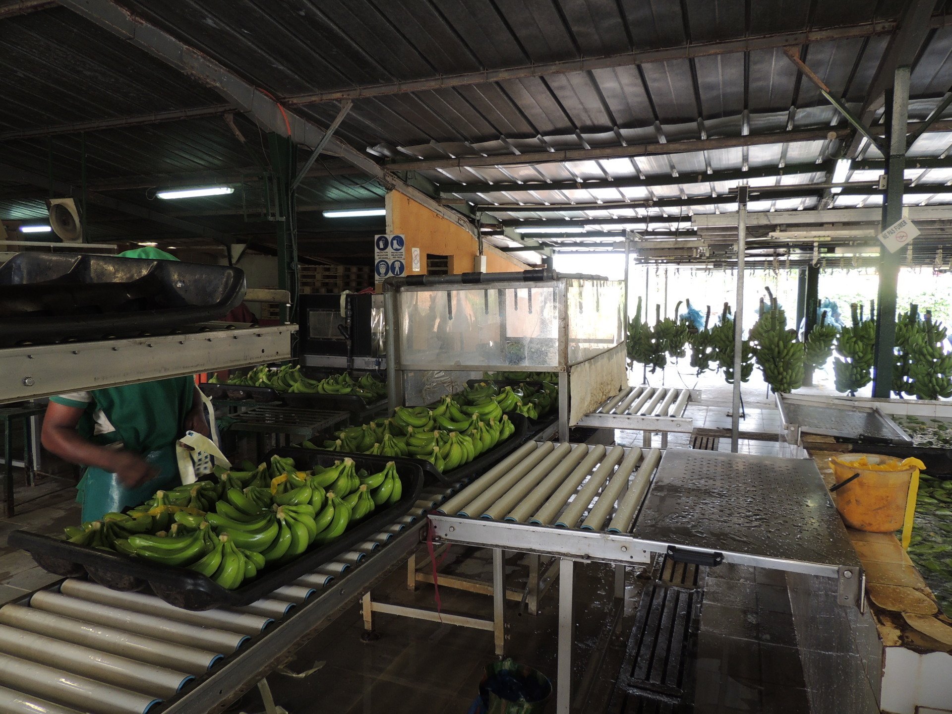 Convoyeur aérien à banane penderie aérienne CMAT